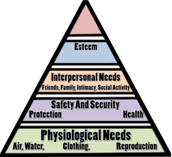 Needs vs. Wants – Which is More Important? – Global CSA Initiative
